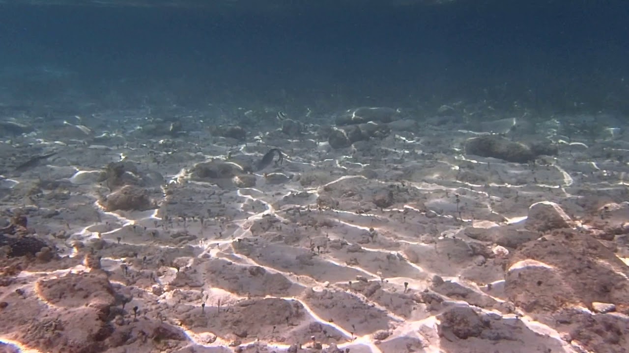 Blue Kay Costa Maya Mexico snorkeling - YouTube