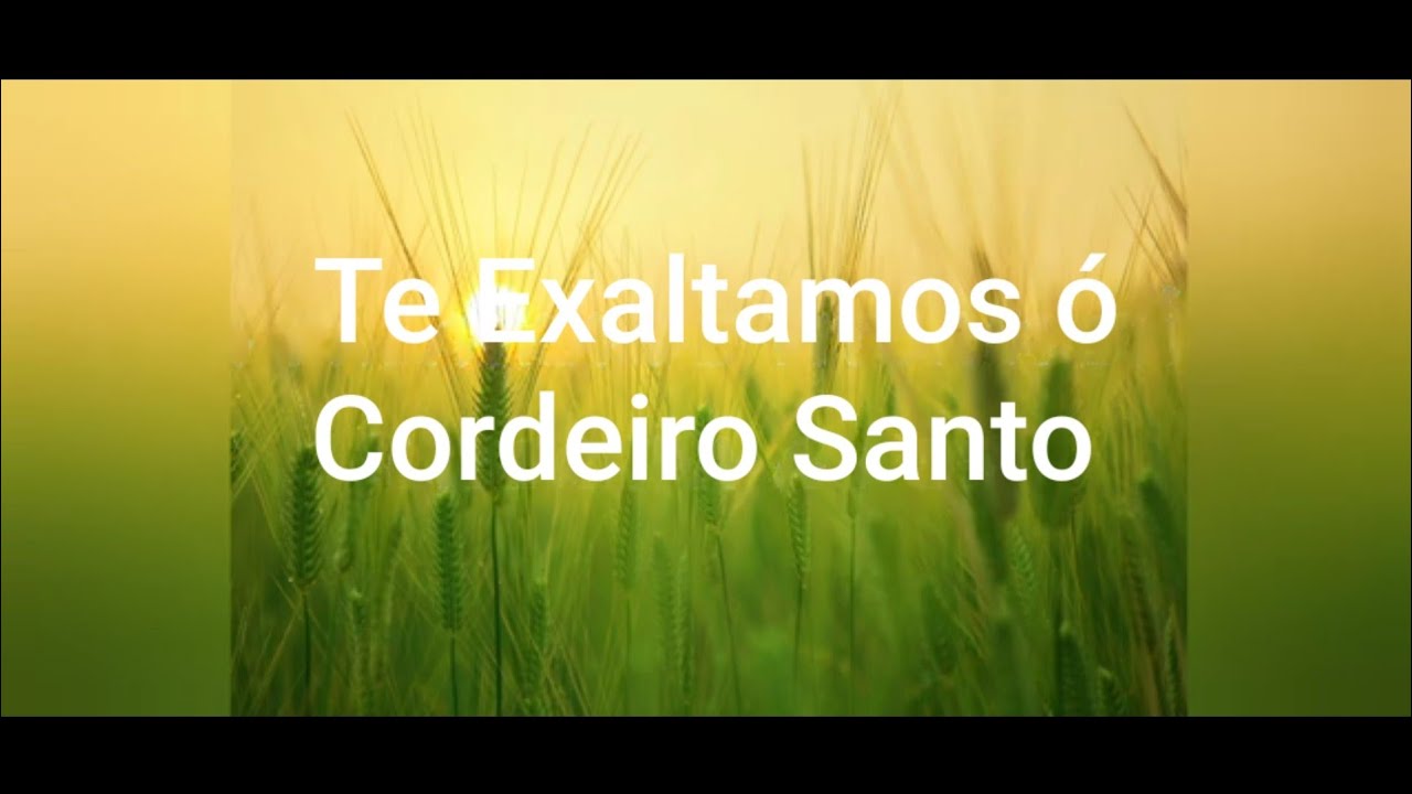 Te Exaltamos ó Cordeiro Santo l Ministério Koinonya de Louvor - YouTube