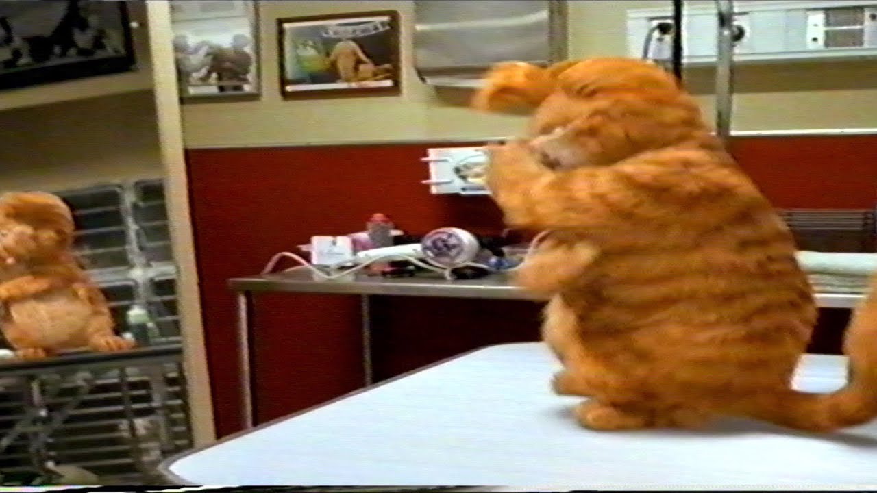 Garfield: Garfield (2004) (VHS Capture) (1) - YouTube