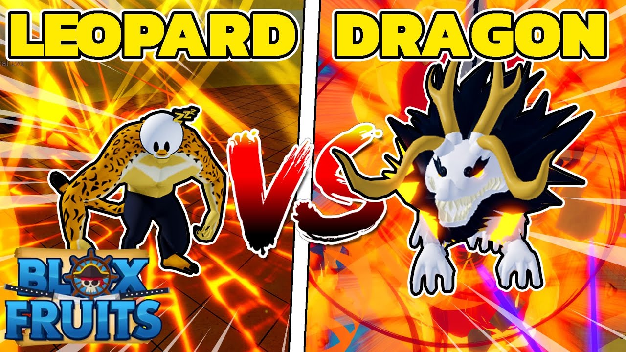 LEOPARD VS DRAGON ! Tournoi Zoan 5k - YouTube