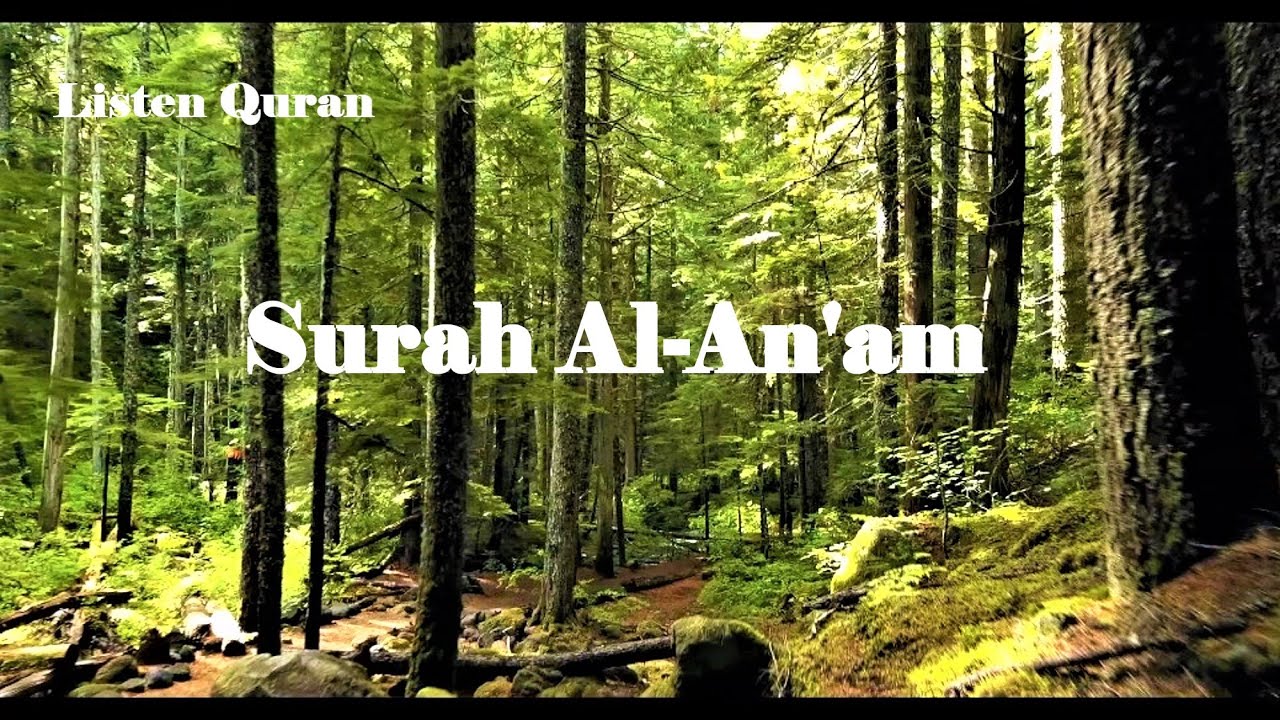 Surah Al-An'am I Full Quran-Surah 6 I Sheikh Mishary Rashid Al Afasy I ...