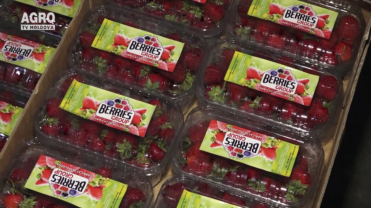 Tipurile de ambalaje pentru fructele moi și struguri - YouTube