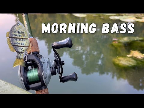 Early Morning Bass Fishing - YouTube