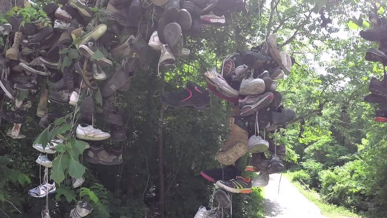 Shoe Tree - Crawford County Indiana - Milltown Indiana - YouTube