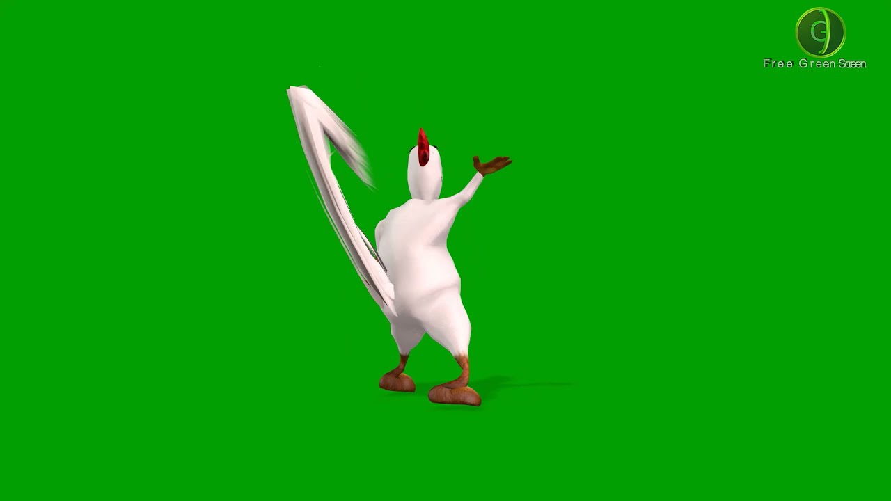 Chicken Dancing Green Screen HD - YouTube