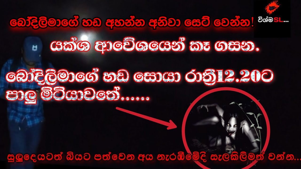 බෝදිලිමා කෑ ගසන පාලු මිටියාවත... Bodilima Ghost Experiment.../ Wishma ...