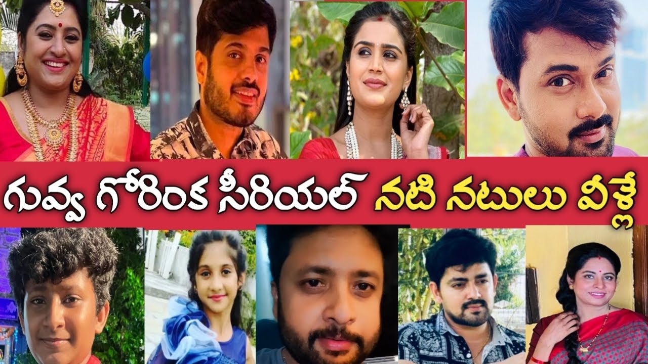 Guvva Gorinka serial actors details | guvva gorinka serial timings ...