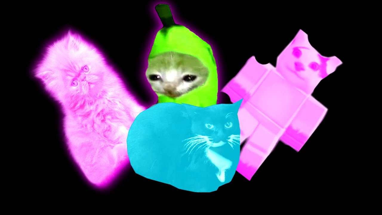 100 Cat Sound Variations in 300 Seconds - YouTube