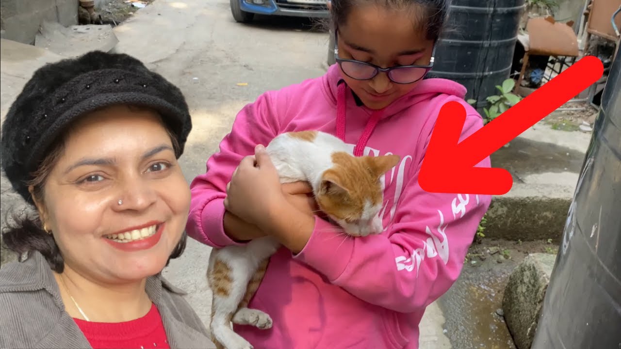 Yeh Cat Kitni Cute Hai ! 😍 - YouTube