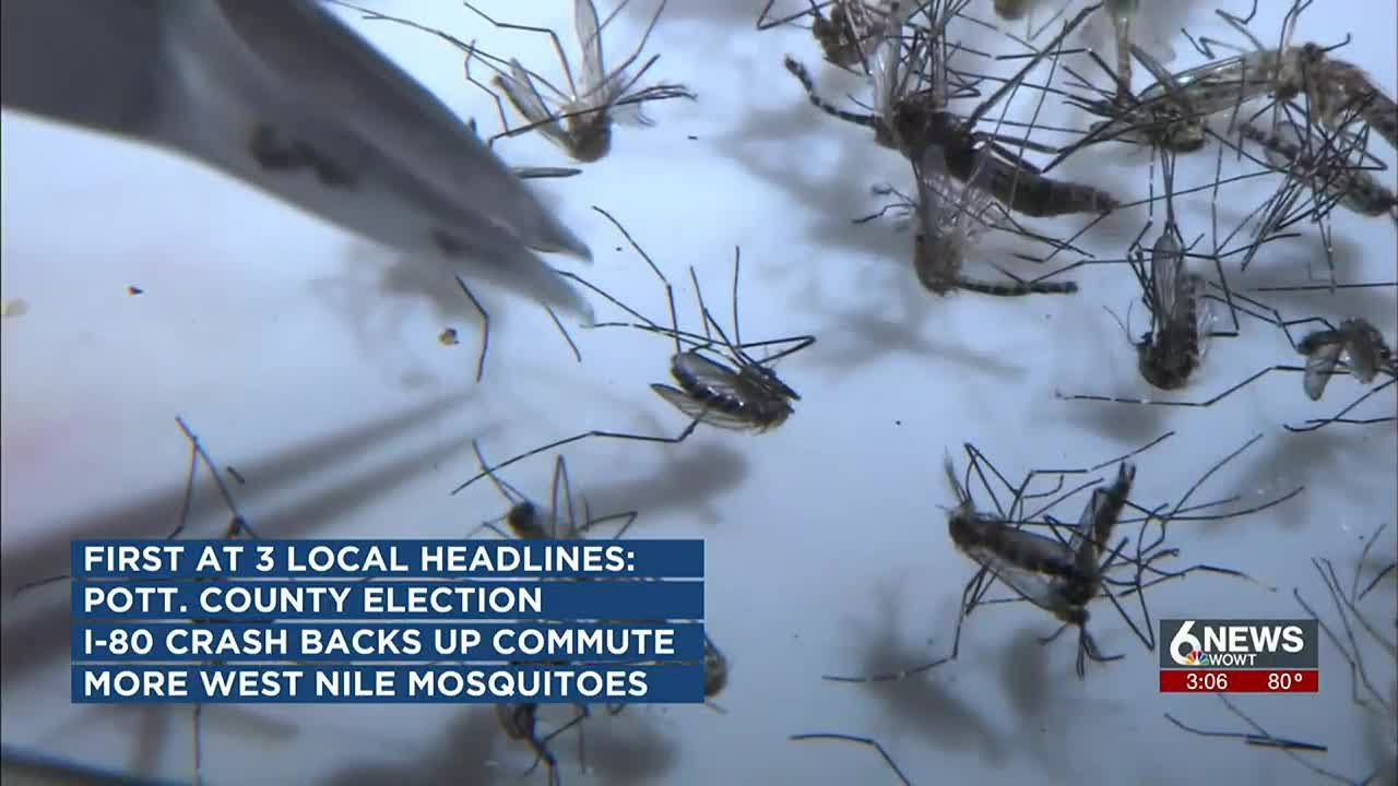 Nebraska health officials warn of uptick in mosquitoes carrying West ...