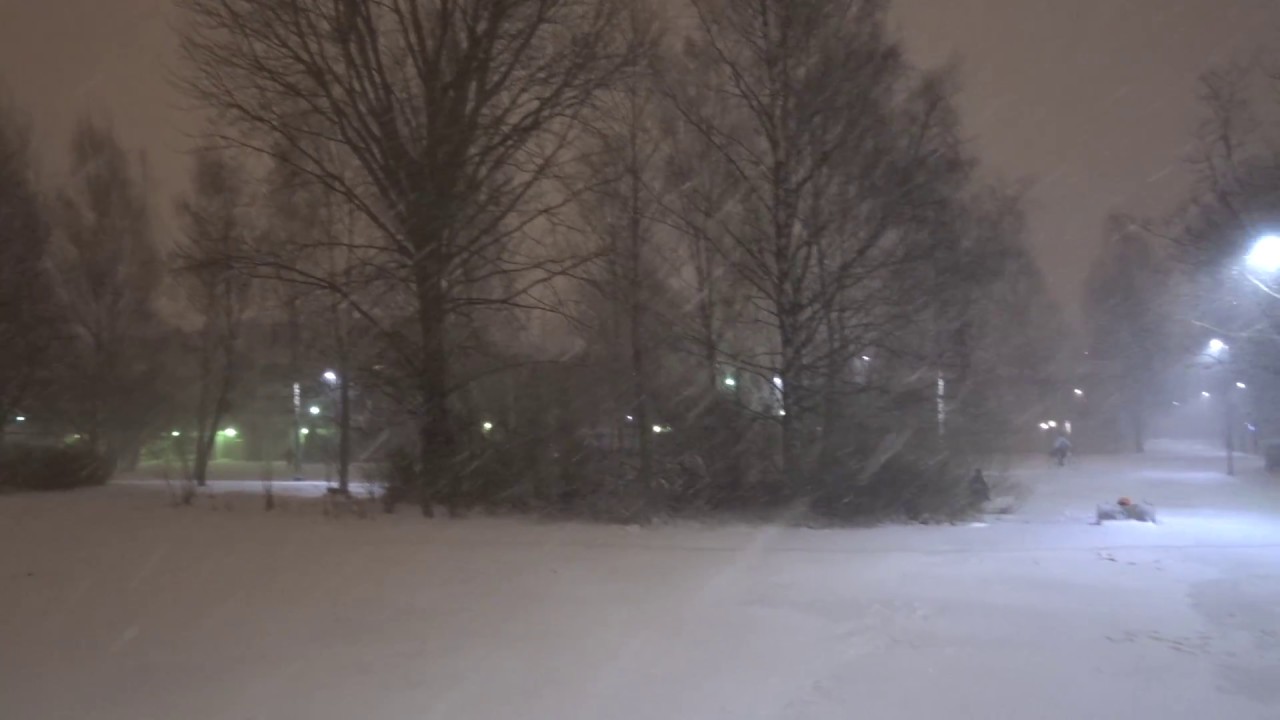 Helsinki snow storm 22 february 2017 - YouTube