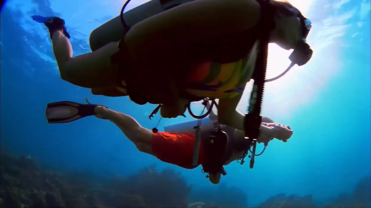 A Couple Diving - YouTube