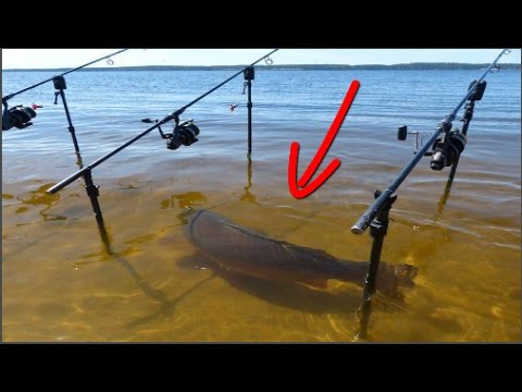 Fishing Fails Funny - Compilation Fishing 2017 - YouTube