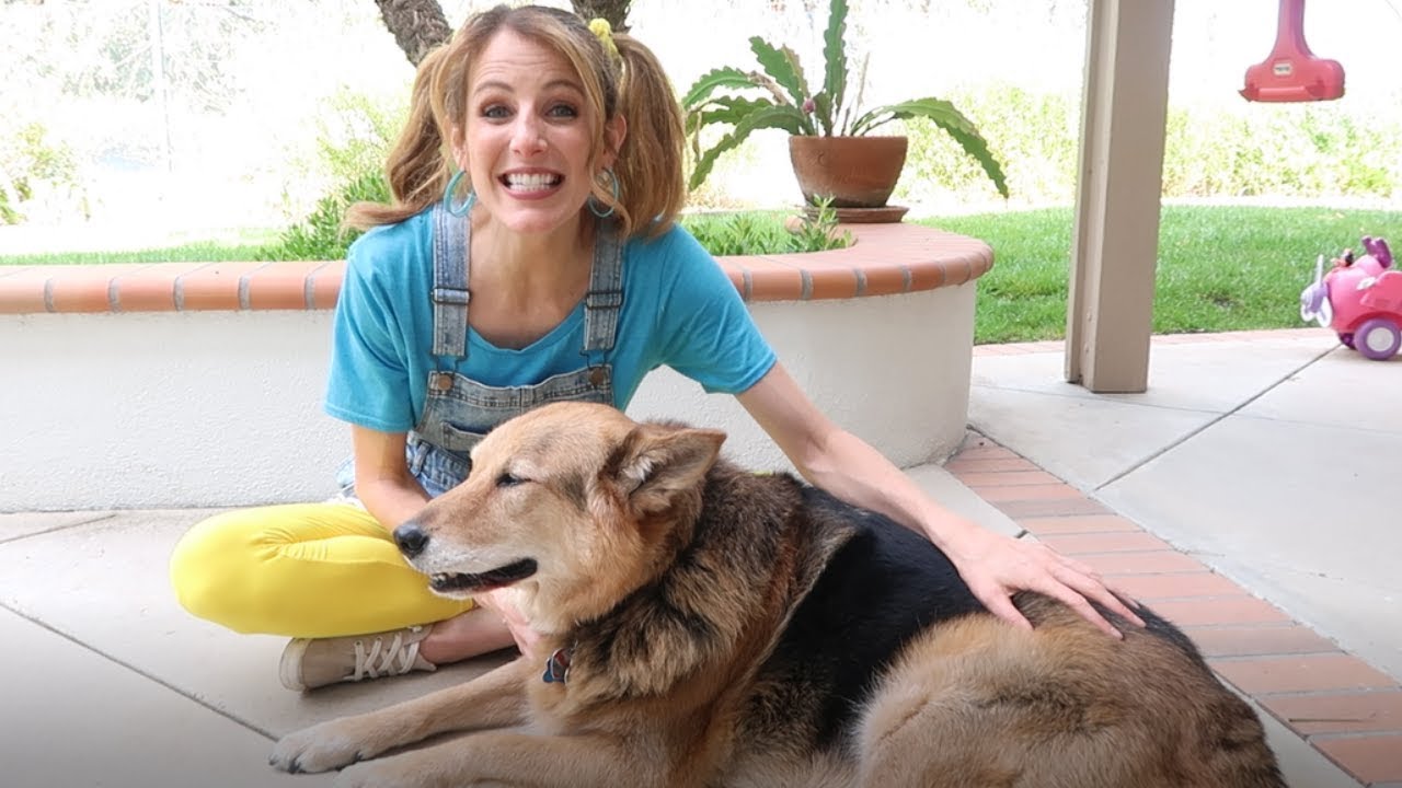 Spanish Word Of The Day Perro Dog YouTube spanish-word-of-the-day-perro-dog-youtube