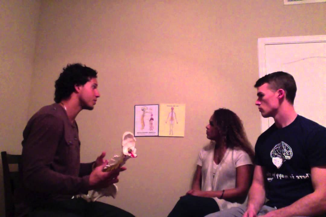 Luis Rivas- ROF report of Findings Parker Chiropractic - YouTube