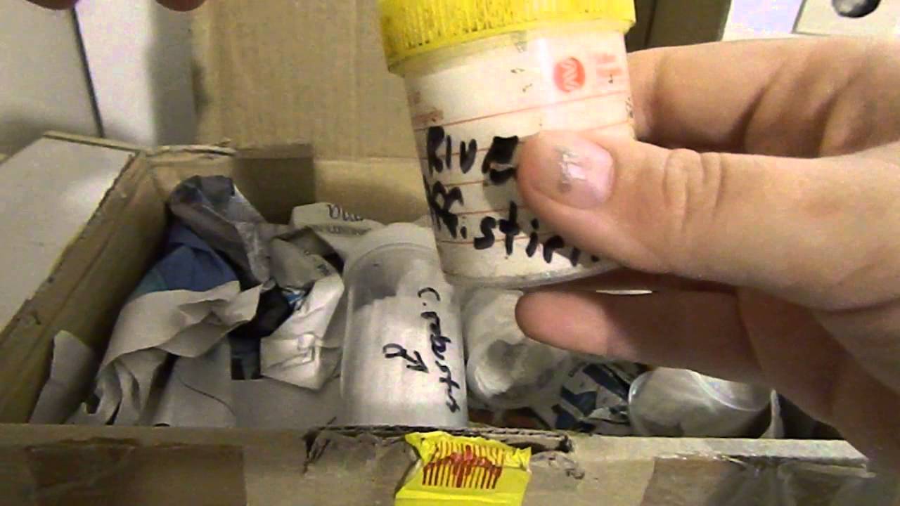 Unboxing Video - Tarantulas - Stirlingi, Crassipes & Champagne Robustus ...