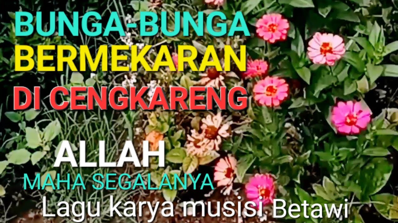 BUNGA-BUNGA BERMEKARAN DI CENGKARENG. VIDIO LAGU : ALLAH MAHA SEGALANYA ...