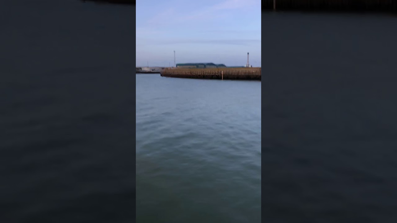 Bass fishing Shoreham-by-Sea - YouTube