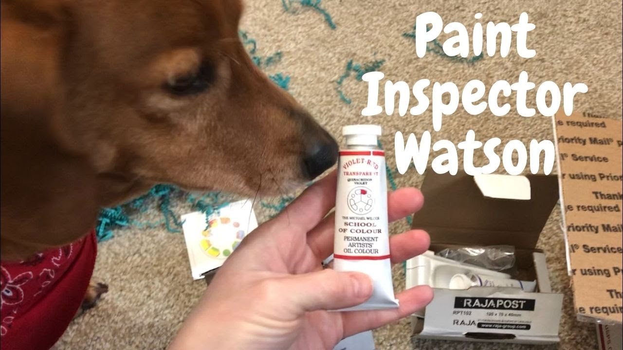 Unboxing Michael Wilcox School of Color Paints with Watson’s Help - YouTube