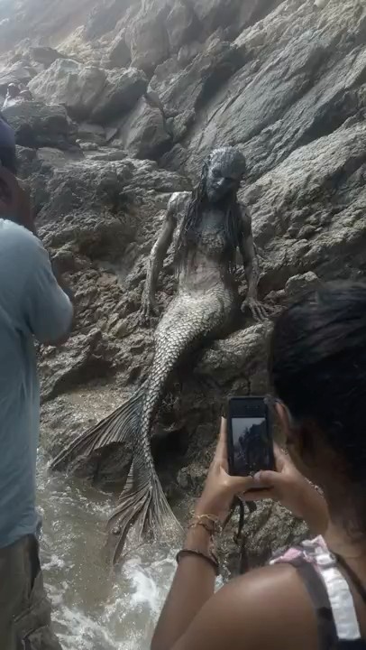 Horrifying Mermaid Crawls Onto Rocks in Portugal—Witnesses Panicked ...