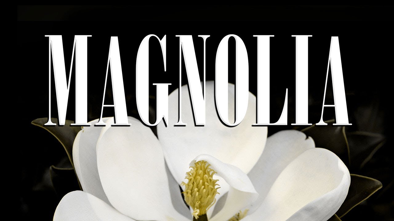 MAGNOLIA - Save Me By Aimee Mann | New Line Cinema - YouTube