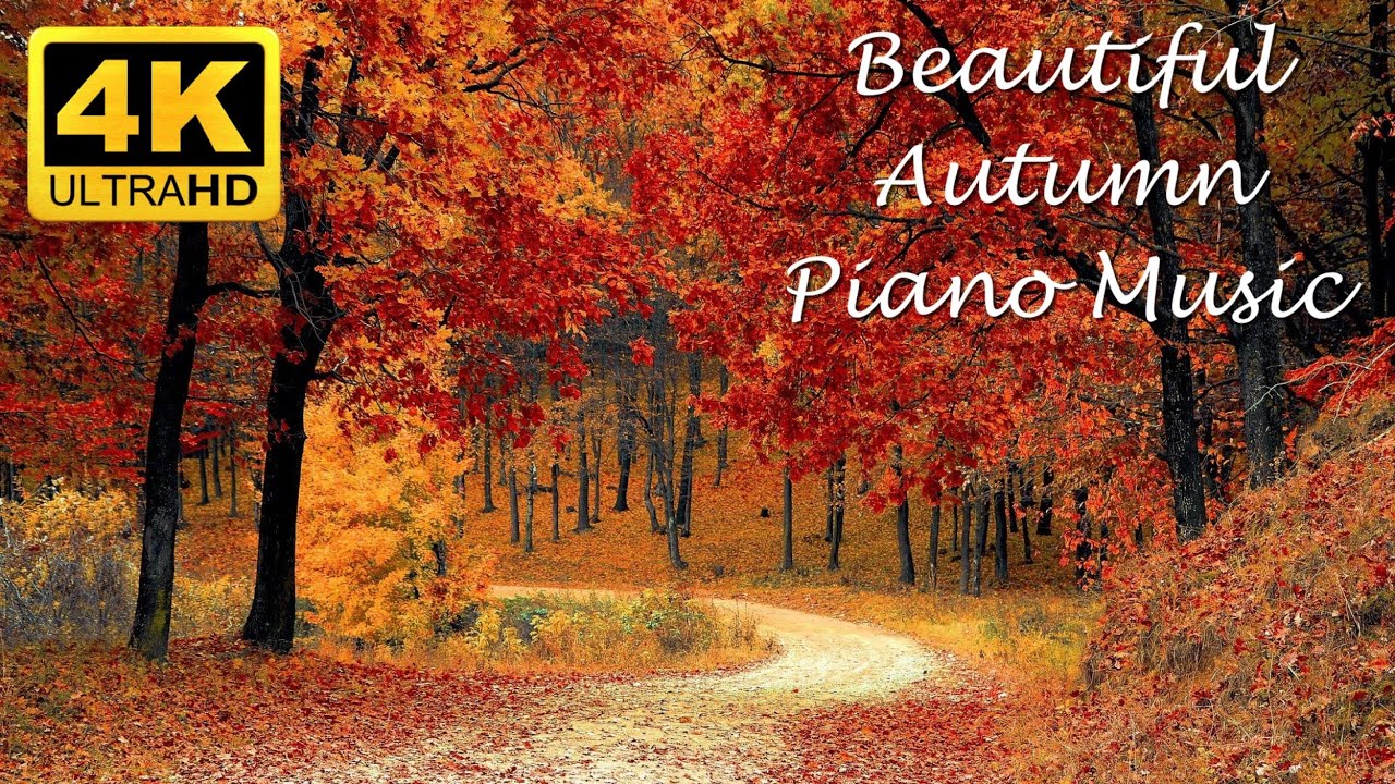 Enjoy Beautiful Autumn Piano Music While Walking Through The Autumn ...