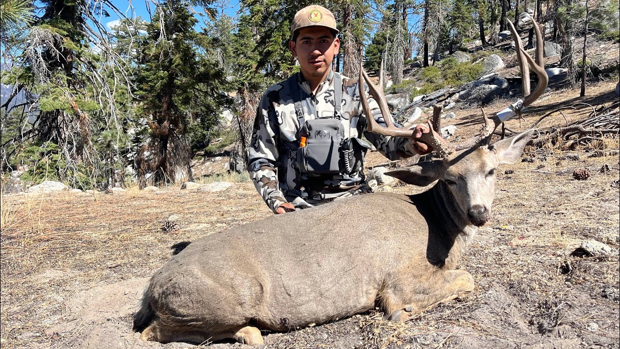 California High Country Mule Deer Hunt - Big Buck Down - YouTube
