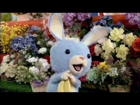 Einstein Pals Baby’s First Sounds - YouTube