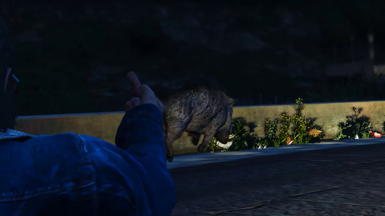 Trevor middle finger - YouTube