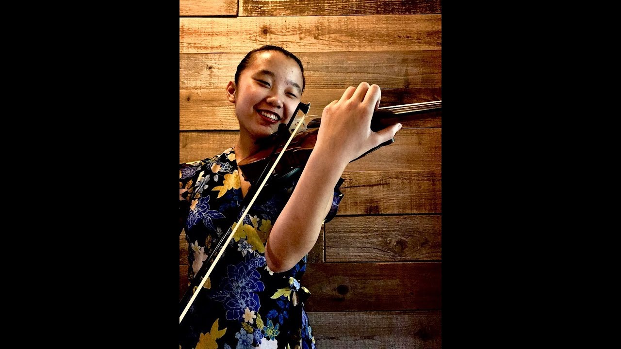 Viola Concerto in D Major by F.A. Hoffmeister - YouTube