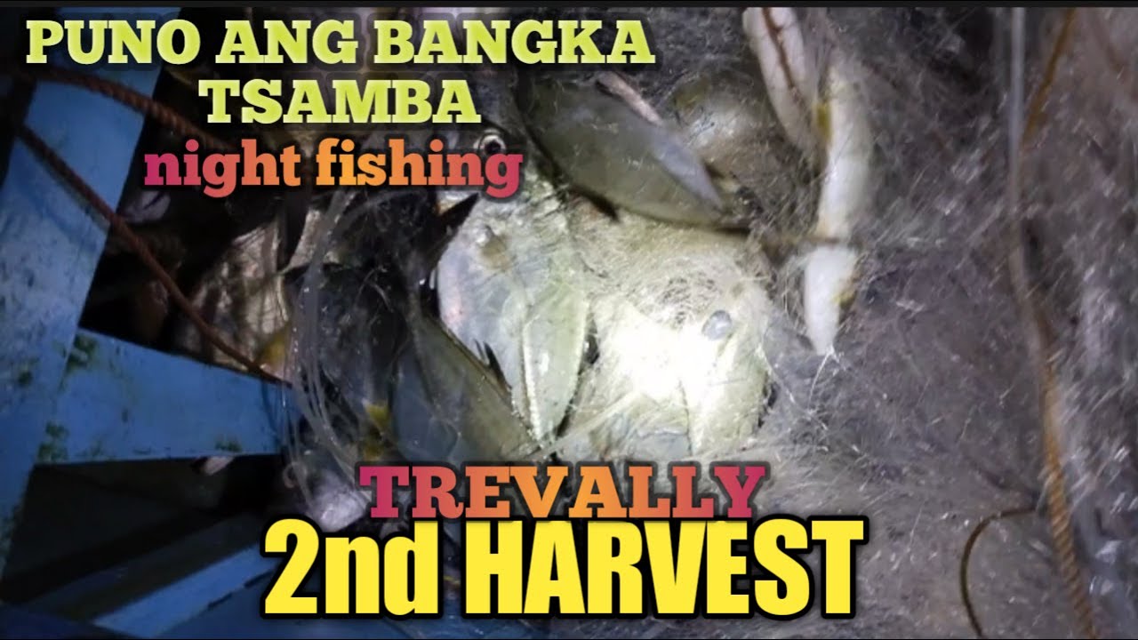 NIGHT FISHING 2ND HARVEST TREVALLY PUNO ANG BANGKA GRABE #trevally # ...