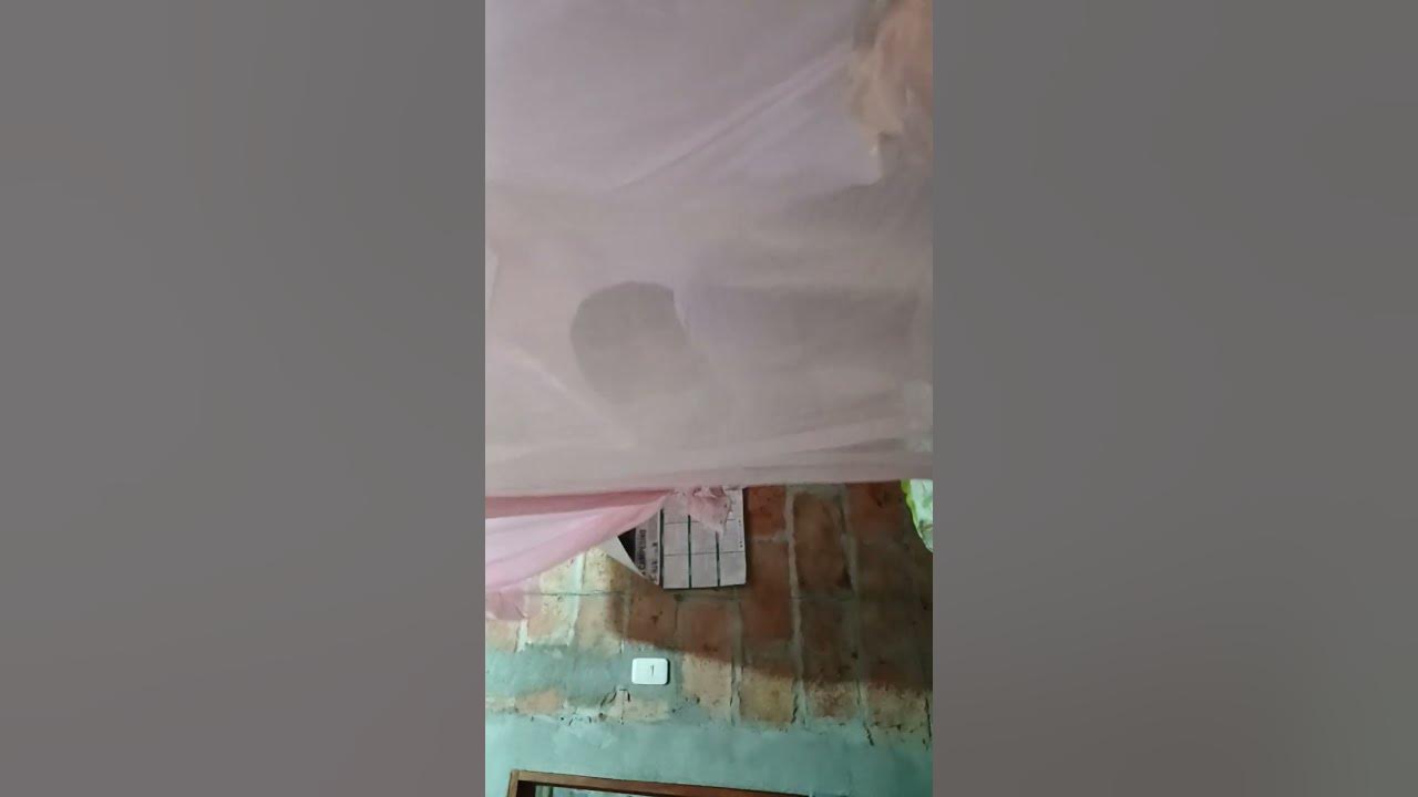 18 de marzo de 2024 - YouTube