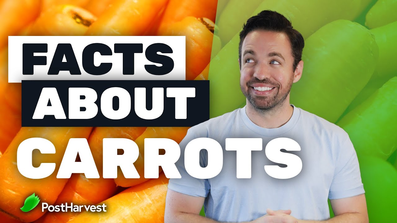 Facts about Carrots - YouTube