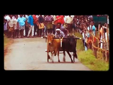 Navakarai rakla race - YouTube