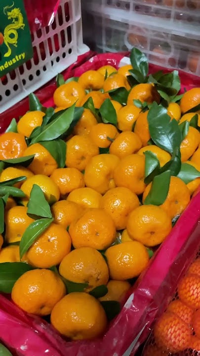 Мандарин «Бейби» очень сочный и сладкий! - YouTube