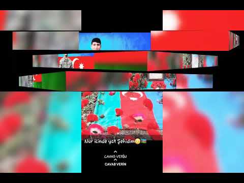 Şəhid Məmmədov Kənan Cəlilabad rayon Məmmədrzalı kəndi.