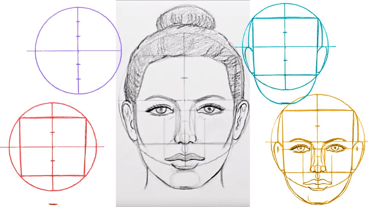 How to draw the front portrait with the loomis method Part 1 and exercise 7 - YouTube