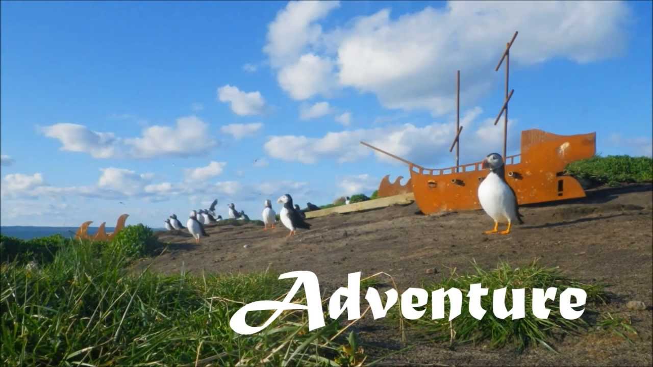 Pirate Puffins ! (Trailer) - YouTube