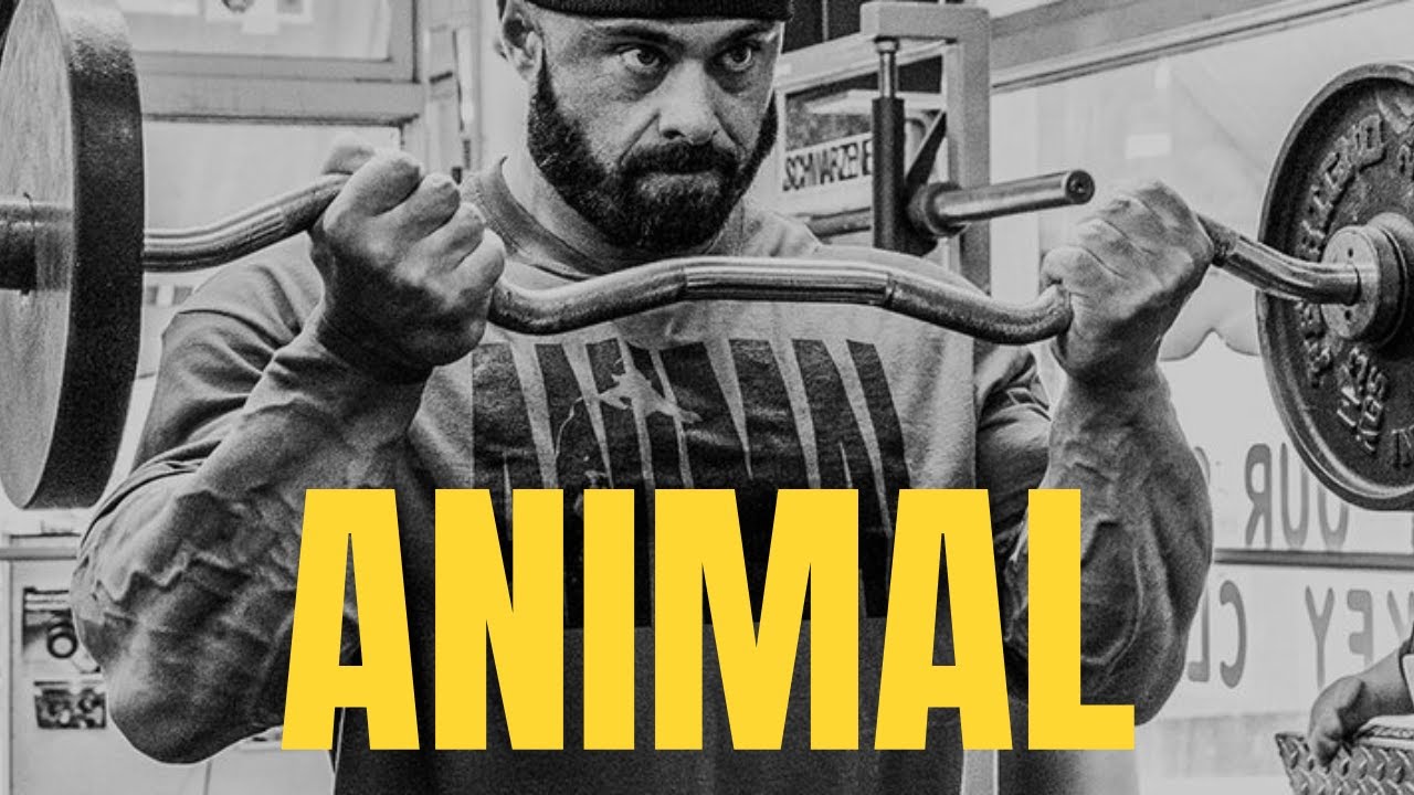 ANIMAL (HD) - BODYBUILDING MOTIVATION - YouTube