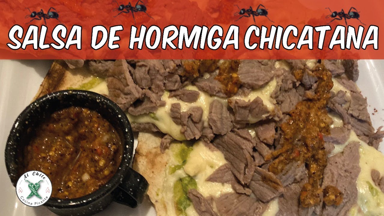 Tlayuda Oaxaqueña con salsa de hormiga chicatana - YouTube