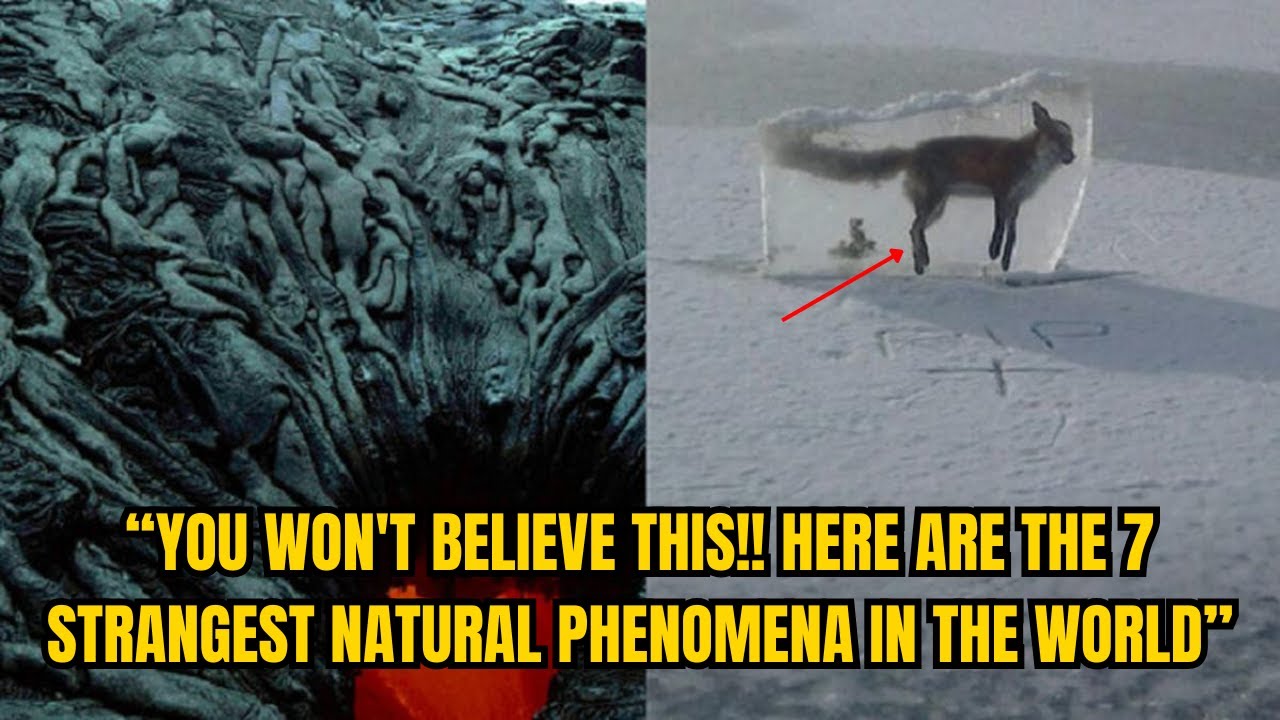 UNBELIEVABLE!! HERE ARE THE 7 STRANGEST NATURAL PHENOMENA IN THE WORLD ...