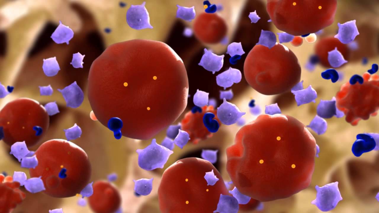 Triferic Video - YouTube