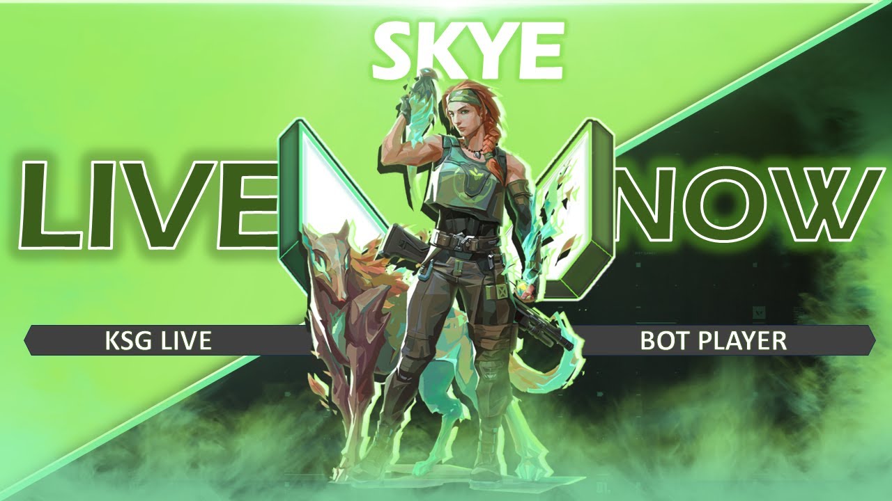 SKYE HEAL THE WORLD | BOT GAMEPLAY | KSG LIVE | #valorant #ksgvlt - YouTube