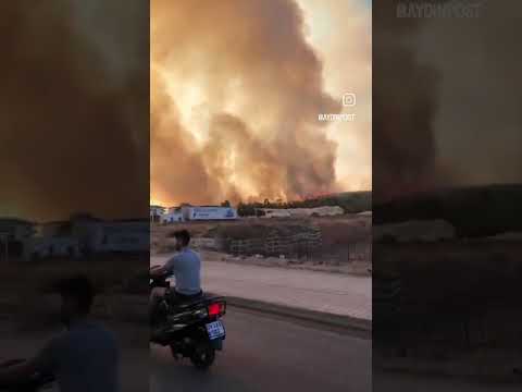 Didim'in girişindeki yangın kameraya böyle yansıdı. #aydın #gündem