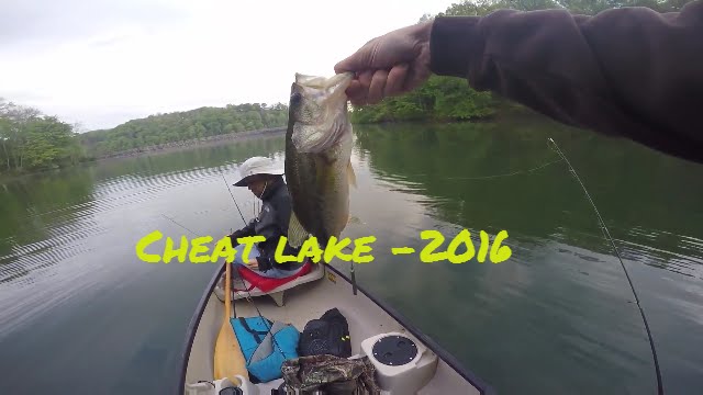 Bass Fishing At Cheat Lake! - YouTube