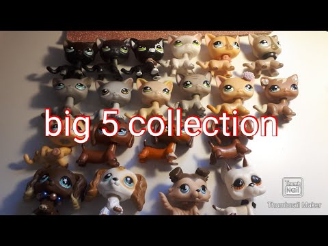 Lps big 5 collection - YouTube