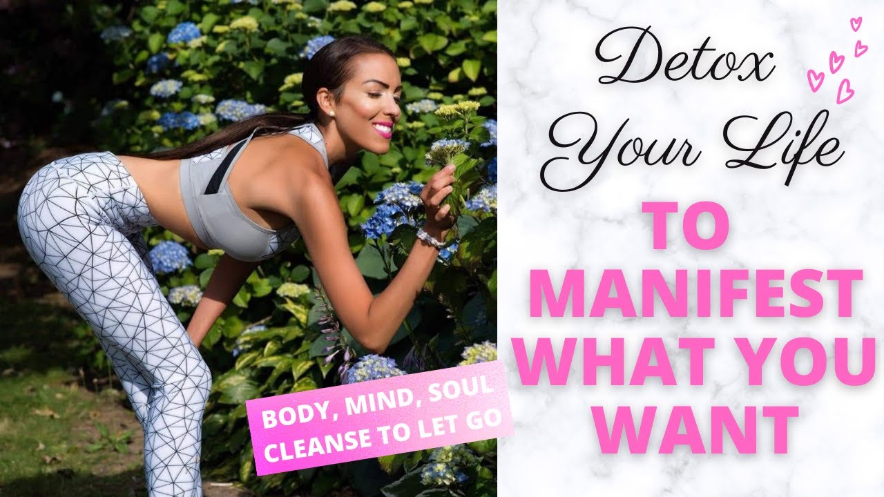 Detox Your Life! How To Cleanse Your Body, Mind + Life To Manifest What ...
