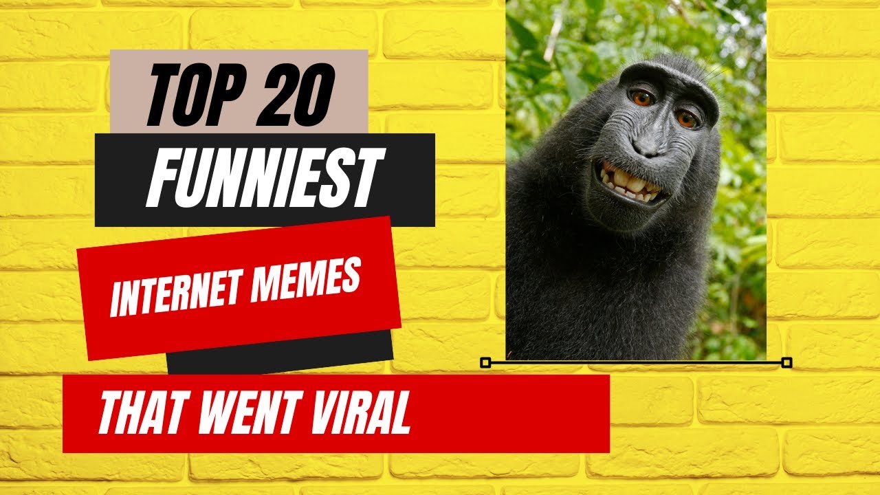 Laugh-Out-Loud Moments: Top 20 Hilarious Internet Memes That Will Make ...