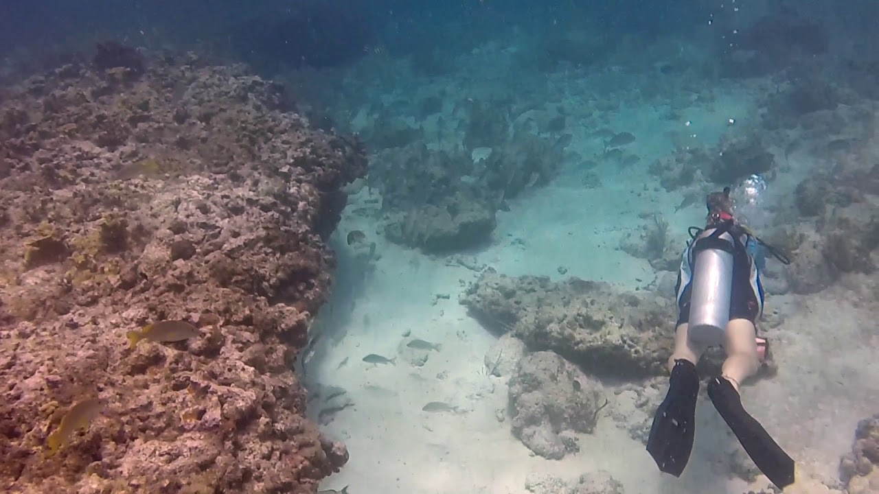key largo french reef - YouTube