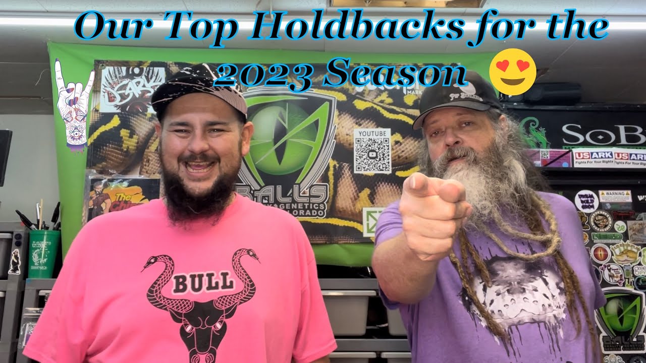 Our top Hold Backs of 2023 | Ball python breeding | Beautiful rare snakes | Black Head Asphalt ...